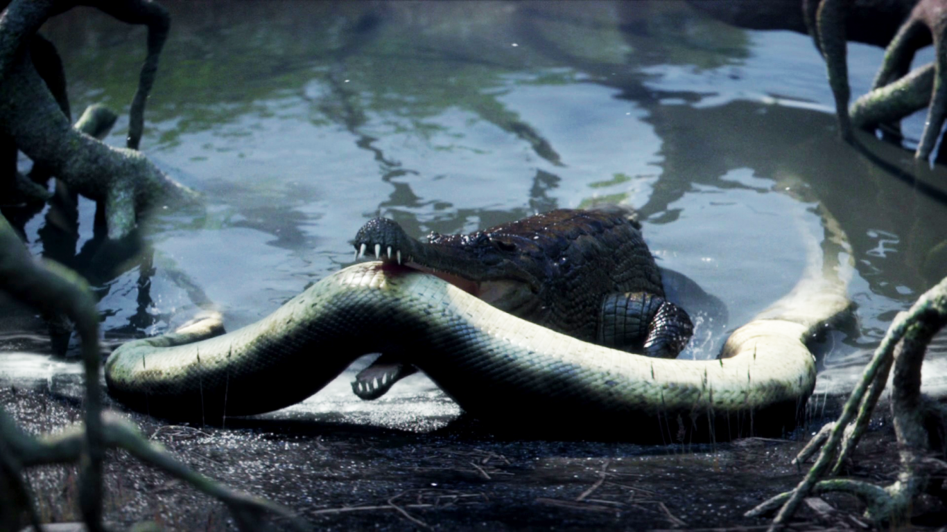 Mega Croc vs Super Snake - Blink Films