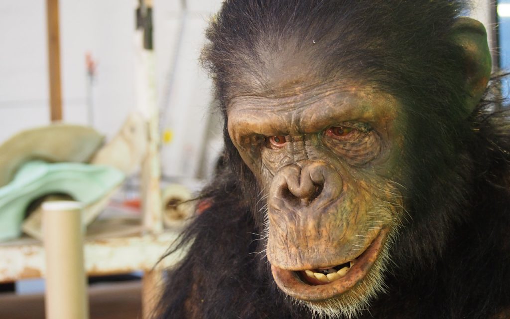 Productions Archive - Blink Films