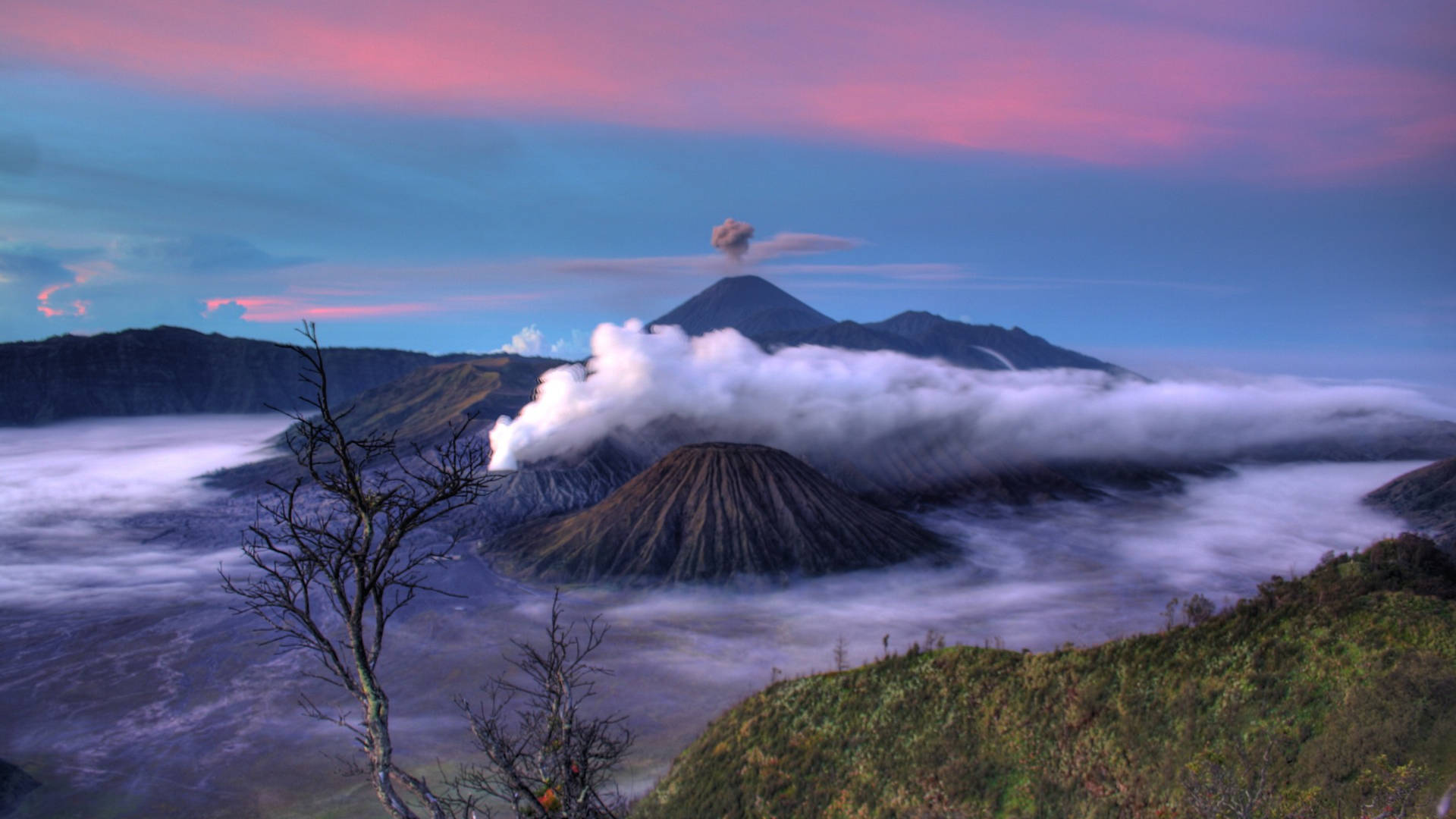 Volatile Earth - Blink Films